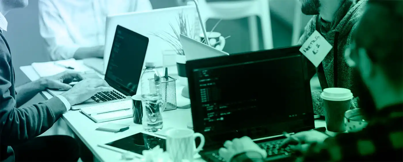 Functional Testing Software Bug Hunting Service Unguess